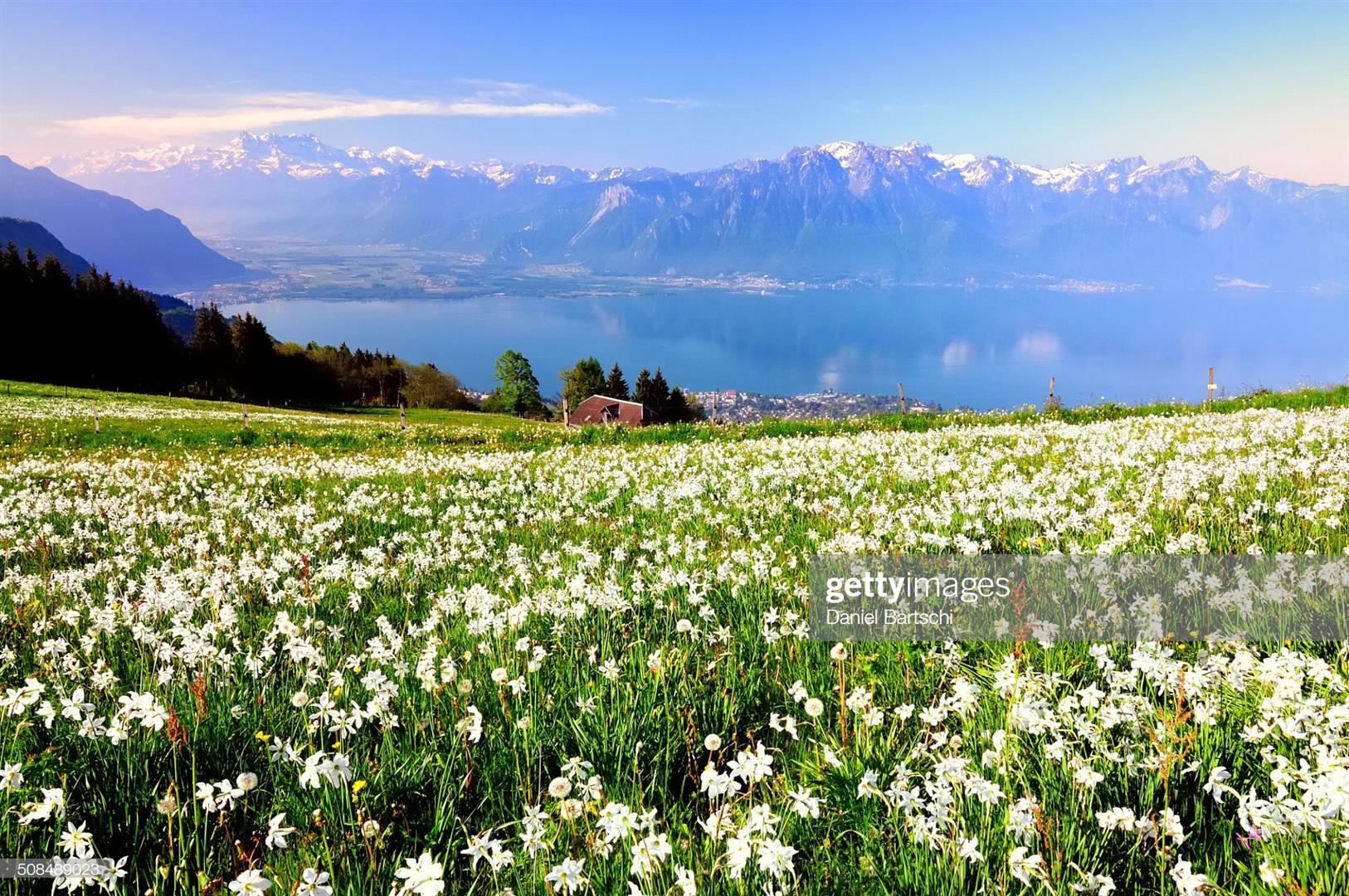 DỜI NÚI - Cùng Sống An Vui